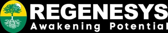 About Us - Regenesys | Accreditation, Registration And Associations